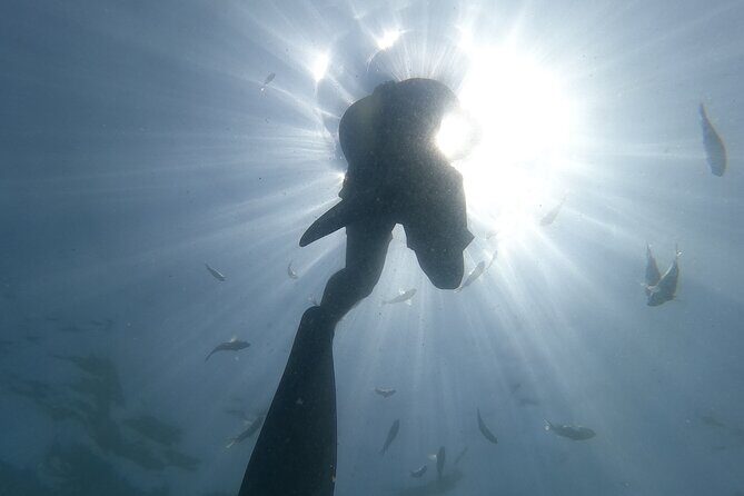 Enjoy paradise: Hidden Beach Snorkeling Adventure - The Itinerary: From Boat to Beach