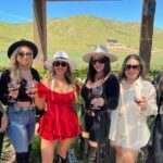 In Group, Valle de Guadalupe private tour - Who Is This Tour Best For?