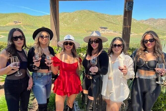 In Group, Valle de Guadalupe private tour - Who Is This Tour Best For?