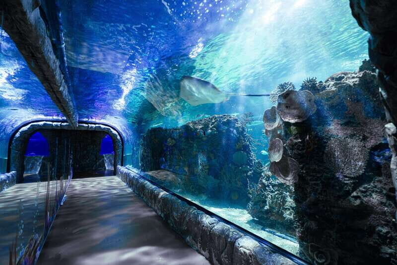 Inbursa Aquarium Entry Ticket with VR Option - What Makes This Tour Worth Considering?