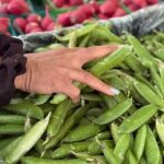 Indian Inspired Cooking Class in Pleasanton - An In-Depth Look at the Cooking Class Experience
