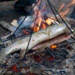 Intro Survival Course Rockies - Who Will Love This Tour?