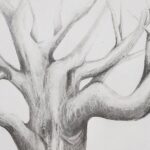 Introduction to Drawing - What to Expect from the Drawing Class