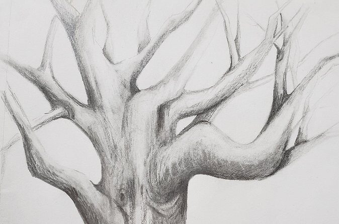 Introduction to Drawing - What to Expect from the Drawing Class