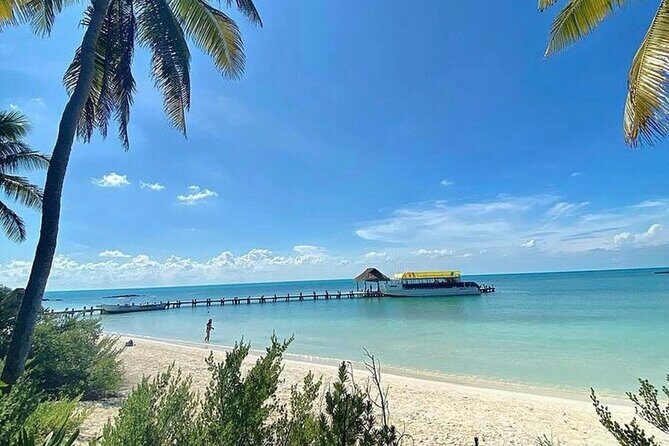 Isla Contoy Adventure Tour & Isla Mujeres from Playa del Carmen - Authentic Feedback from Travelers