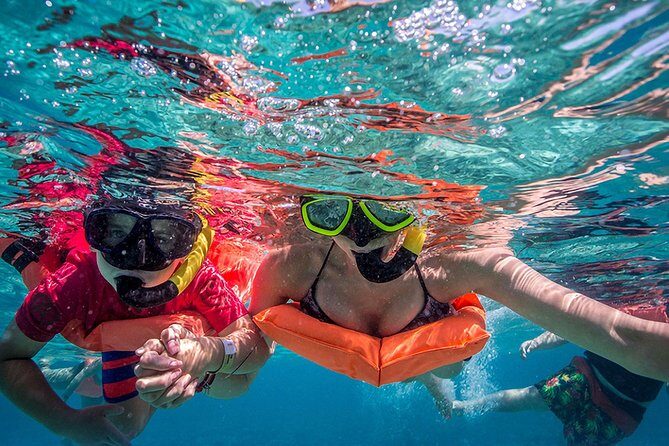 Isla Contoy and Isla Mujeres Tour with Snorkeling from Cancun - What Travelers Say: The Real Stories