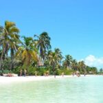 Isla Contoy Hidden Beauty! With Round Transportation From Cancun & Riviera Maya - What’s Included and What’s Not