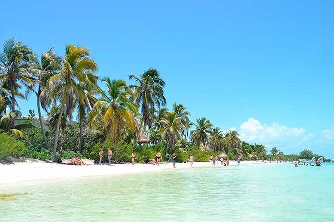 Isla Contoy Hidden Beauty! With Round Transportation From Cancun & Riviera Maya - What’s Included and What’s Not