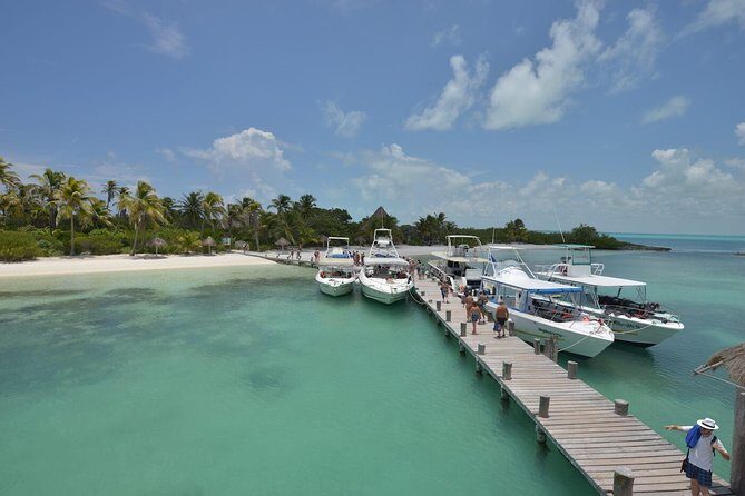 Isla Contoy & Isla Mujeres (from Playa del Carmen) - Practical Tips for Travelers