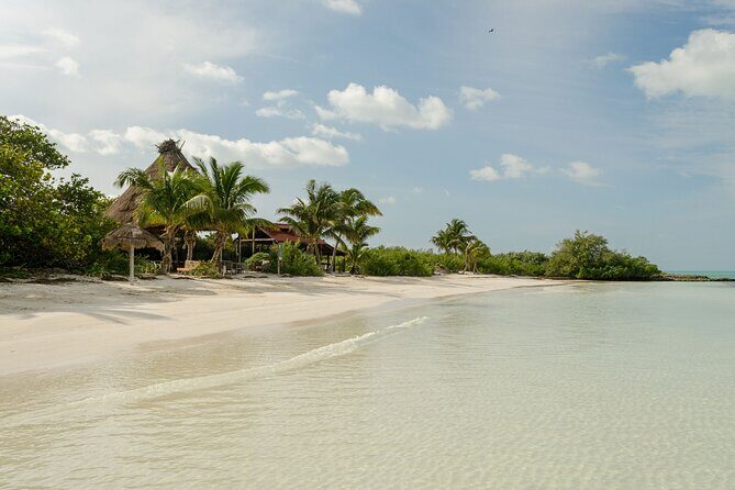 Isla Contoy Private Day Tour, from Cancun - What We Loved About This Tour
