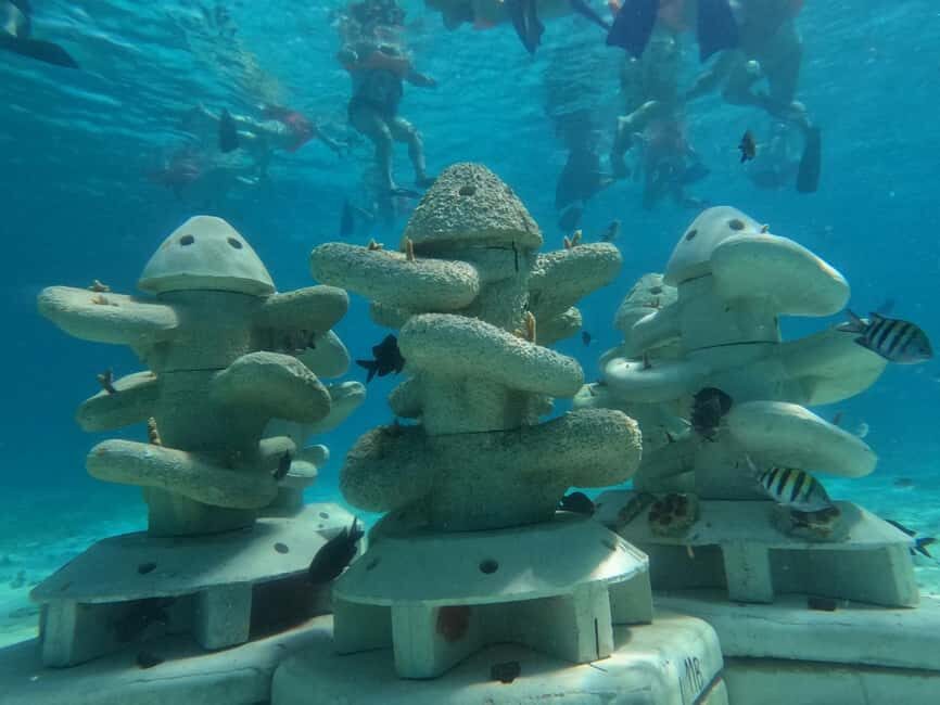 Isla Mujeres: Full Day Private Catamaran with Snorkeling - Is This Tour Worth the Price?