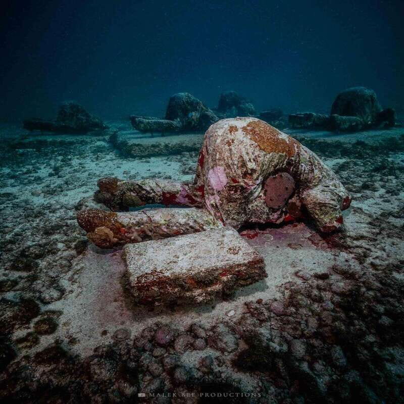 Isla Mujeres: MUSA and the Manchones Reef: 2 Tank Dive Tour - Authentic Perspectives from Past Travelers