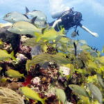 Isla Mujeres: PADI Open Water Diver Course - Why This Course Offers Good Value
