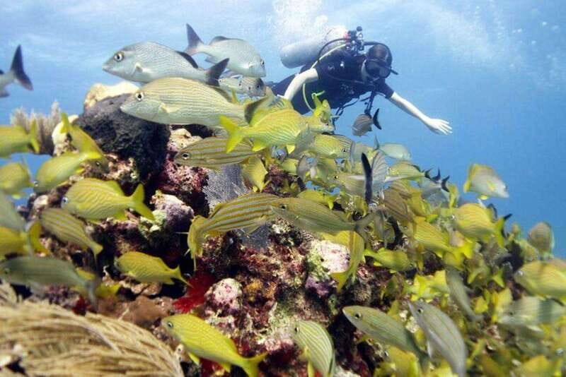 Isla Mujeres: PADI Open Water Diver Course - Why This Course Offers Good Value