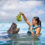Isla Mujeres: Sea Lion & Manatee Interaction with Buffet - The Practical Aspects and Value