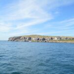 Islas Marietas Tour on Catamaran - Departures from Puerto Vallarta - Authentic Experiences and Traveler Insights
