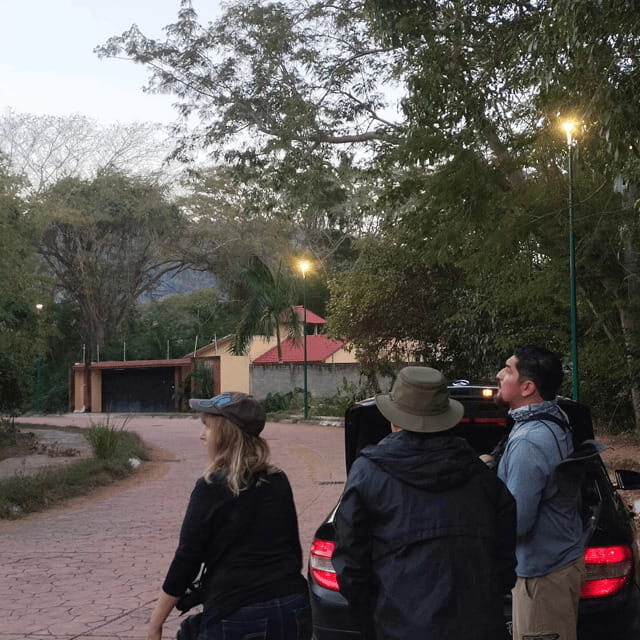 Ixtapa: Bird Watching Tour with Round-Trip Transportation - The Value of the Tour