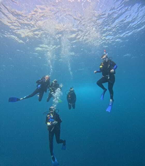 Ixtapa: Discover Diver Course - What to Expect from the Discover Diver Course