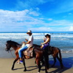 Ixtapa: Horseback Riding Tour Along Playa Larga - Itinerary Breakdown