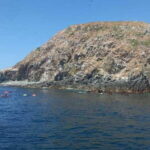Ixtapa: Marine Life Exploration - The Itinerary and How It Comes Together