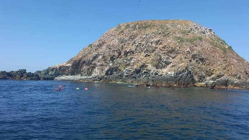 Ixtapa: Marine Life Exploration - The Itinerary and How It Comes Together