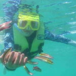 Ixtapa: Snorkeling Tour to Ixtapa Island - The Sum Up