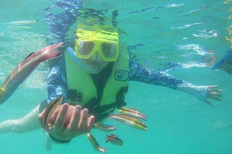 Ixtapa: Snorkeling Tour to Ixtapa Island - The Sum Up