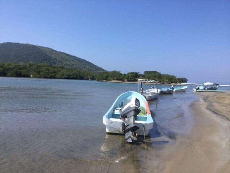 Ixtapa-Zihuatanejo: Barra de Potosi Scenic Lagoon Tour - Authenticity and Value