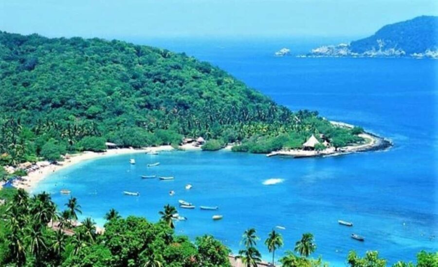 Ixtapa-Zihuatanejo: Las Gatas Beach - Snorkeling and Marine Life
