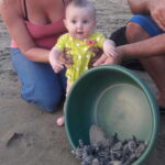 Ixtapa-Zihuatanejo: Turtle Release Tour. - Detailed Breakdown of the Experience