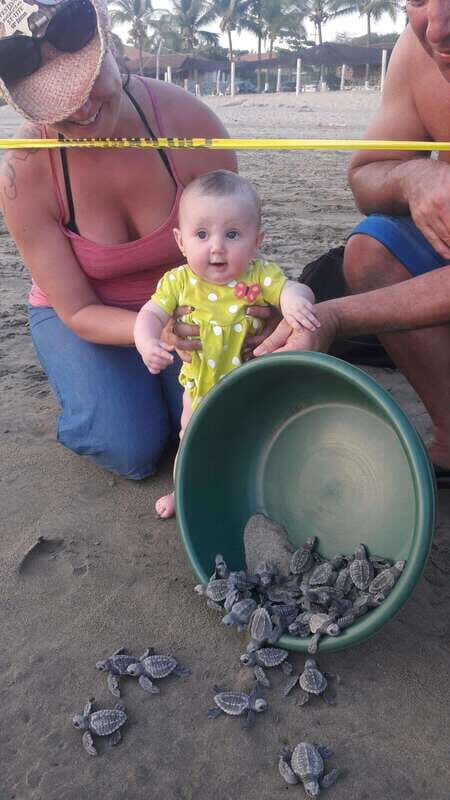 Ixtapa-Zihuatanejo: Turtle Release Tour. - Detailed Breakdown of the Experience