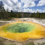 Jackson: 2-Day Yellowstone National Park Tour with Lunches - Who Will Love This Tour?