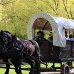 Jackson: Chuck Wagon Cookout and Live Show - A Closer Look at the Jackson Chuck Wagon Experience