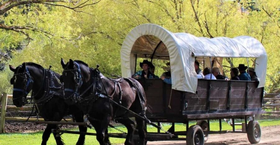 Jackson: Chuck Wagon Cookout and Live Show - A Closer Look at the Jackson Chuck Wagon Experience