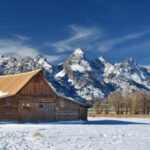 Jackson: Grand Teton, Bighorn Sheep, and Petroglyphs Tour - Who Will Love This Tour?