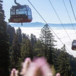 Jackson Hole: Aerial Tram and Gondolas Sightseeing - Practical Details & Value