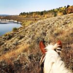 Jackson Hole: Bridger-Teton National Forest Horseback Ride - Who Will Love This Tour?