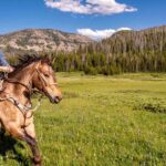 Jackson Hole: Dinner Cookout & Bridger-Teton Horseback Ride - Who Will Love This?