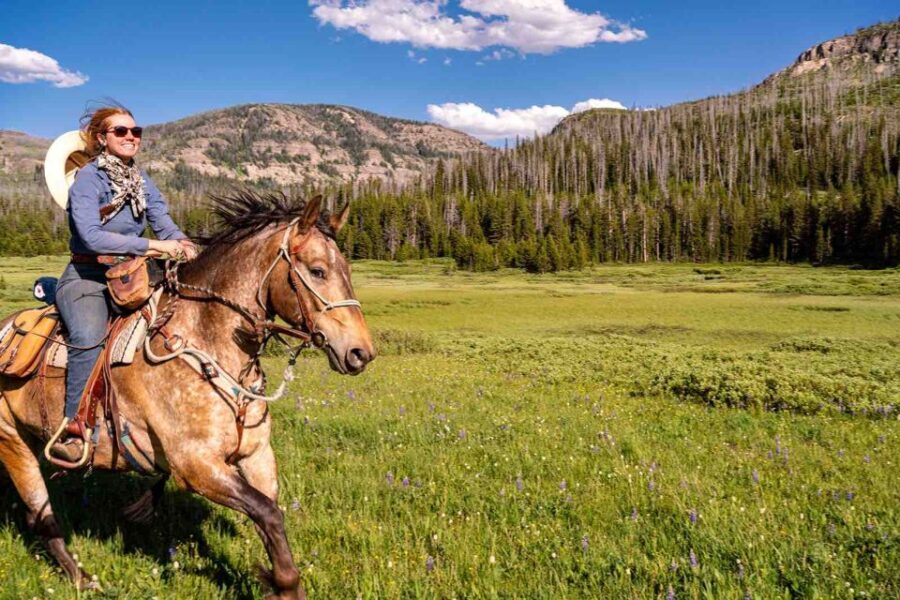 Jackson Hole: Dinner Cookout & Bridger-Teton Horseback Ride - Who Will Love This?