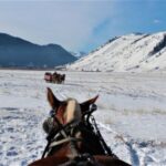 Jackson Hole: National Elk Refuge Sleigh Ride - Itinerary Breakdown and What to Expect