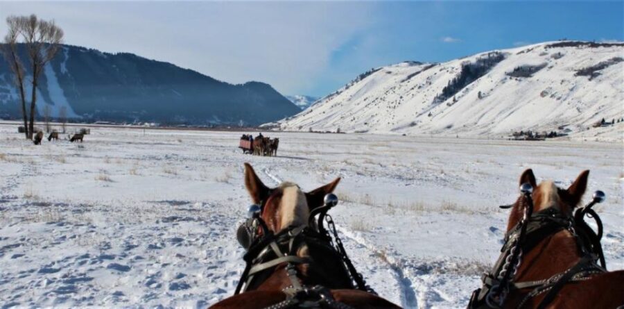 Jackson Hole: National Elk Refuge Sleigh Ride - Itinerary Breakdown and What to Expect