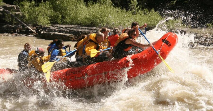 Jackson Hole: Snake River Whitewater Rafting Tour - Who Should Consider This Tour?