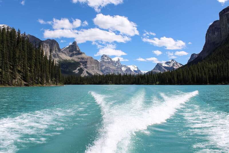 Jasper: Maligne Valley Wildlife & Spirit Island Cruise - Price and Value