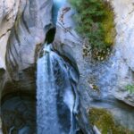 Jasper Wildlife and Waterfalls Tour with Maligne Lake Hike - The Sum Up