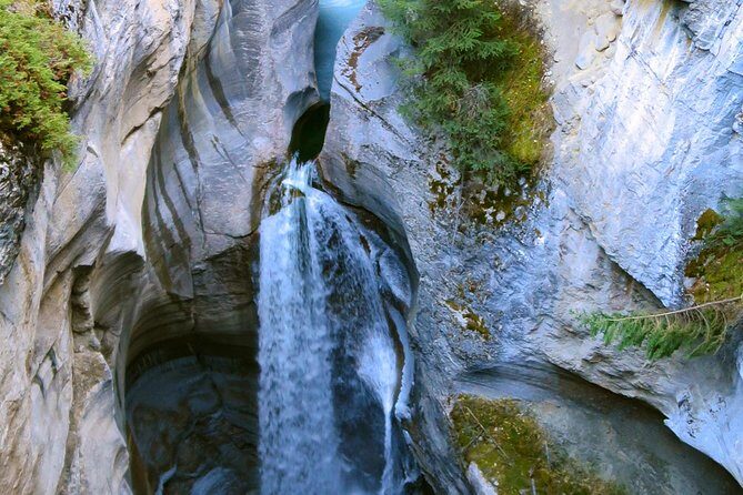 Jasper Wildlife and Waterfalls Tour with Maligne Lake Hike - The Sum Up