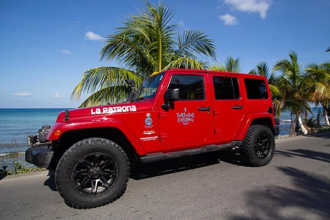 Jeep Exploration & All Inclusive Tortugas Beach Break (Private) - The Practical Side of the Tour