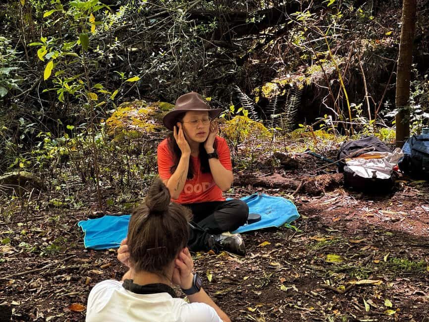 Jilotzingo: Forest Bathing and Temazcal Healing Experience - Return and Reflection