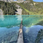 Joffre Lakes/ Hiking Day Trip - The Hiking Experience: From Easy to Challenging