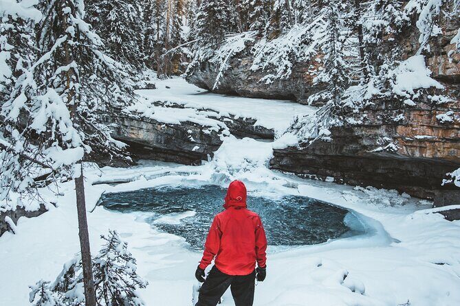 Johnston Canyon Frozen Waterfalls & Banff Backroads Wildlife Tour - FAQs