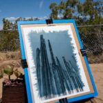 Joshua Tree: Cyanotype Sunprint Workshop - What Is a Cyanotype Sunprint Workshop?
